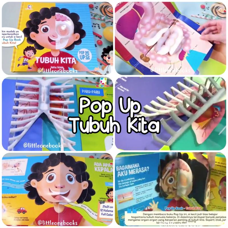 Our Body - Interactive pop up Book/Children's pop up Book Human Body ...