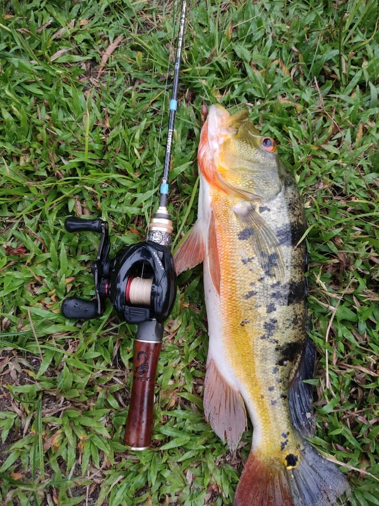 1.37M/1.5M/1.68M/1.8M/1.98M LEMOREN Solid Tip UL Fishing Rod Ultra ...