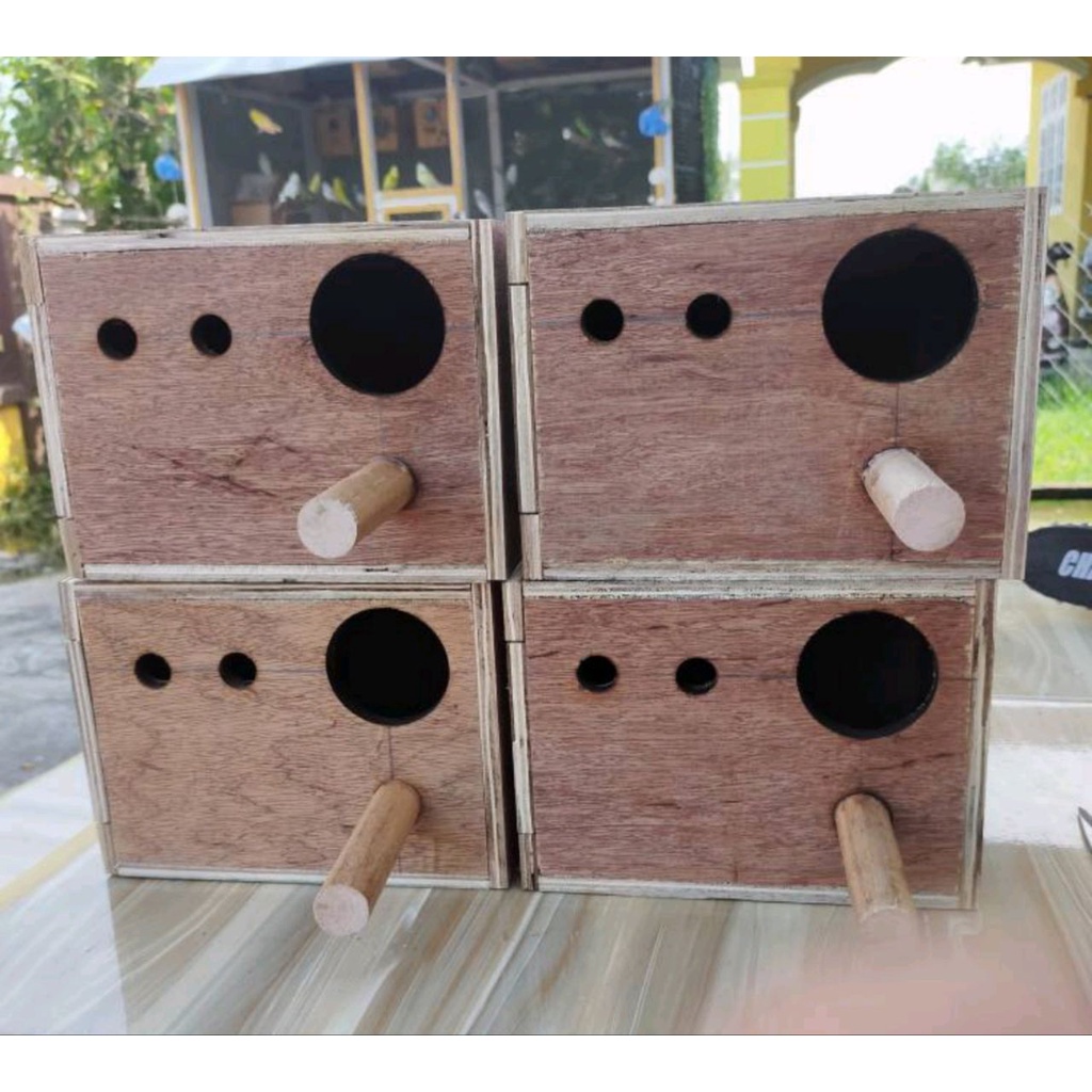 Nest Box Baji Papan Tebal Budgie Lovebird Zebra Finch Gouldian Finch ...