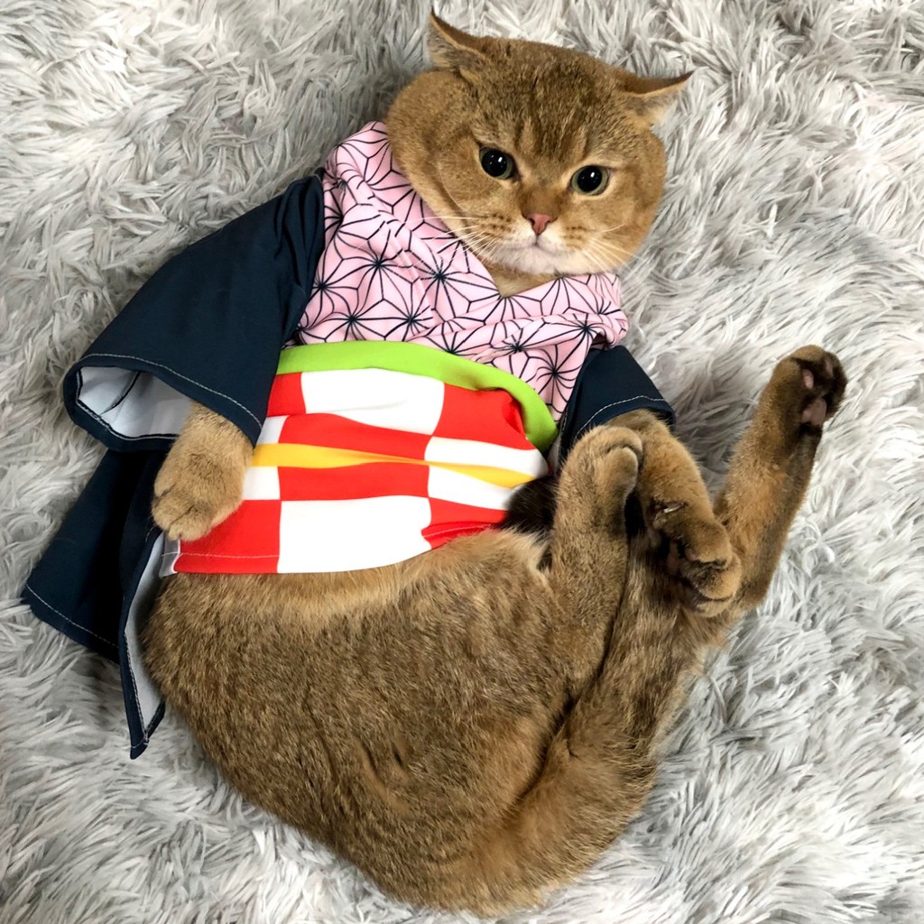 Pet Outfit Costume in Demon Slayer Characters (Kimetsu no Yaiba ...