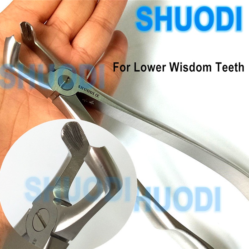 Dental Adult Tooth Extraction Forcep Plier Teeth Extraction Plier ...