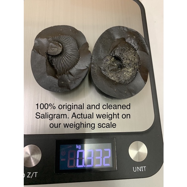 100% original Shaligram / Saligram / Saligramam | Shopee Singapore