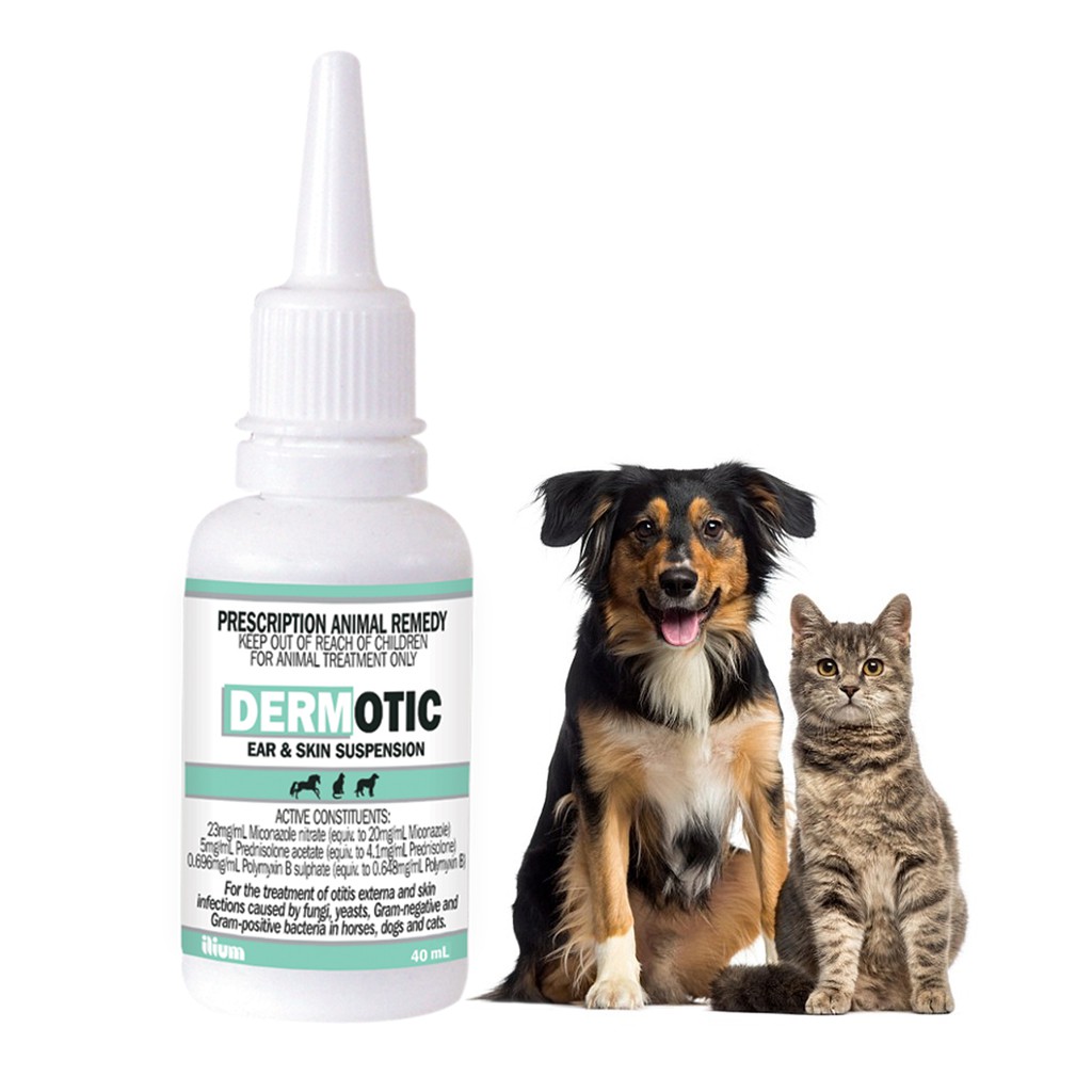 DERMOTIC - antibiotic medicine for ears and skin for dogs and cats ...