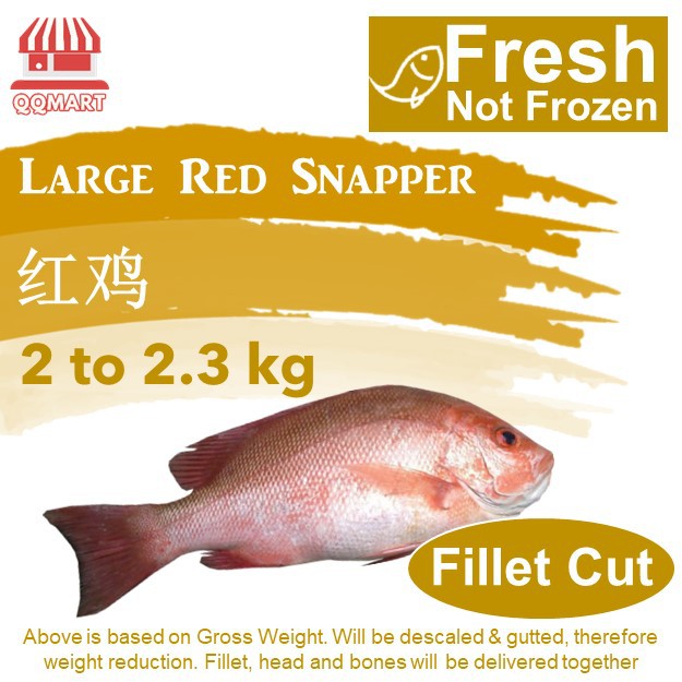 QQMart Fresh Seafood (Not Frozen) - Fresh Large Red Snapper Whole Fish ...