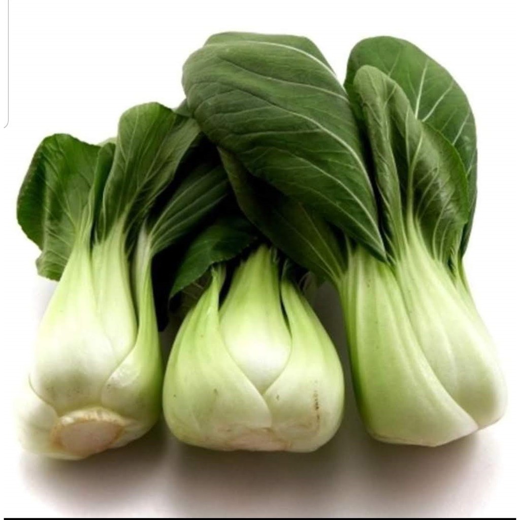 150 Dwarf Small Pak Choy 矮脚大头小白菜 Seeds (fr SG) | Shopee Singapore