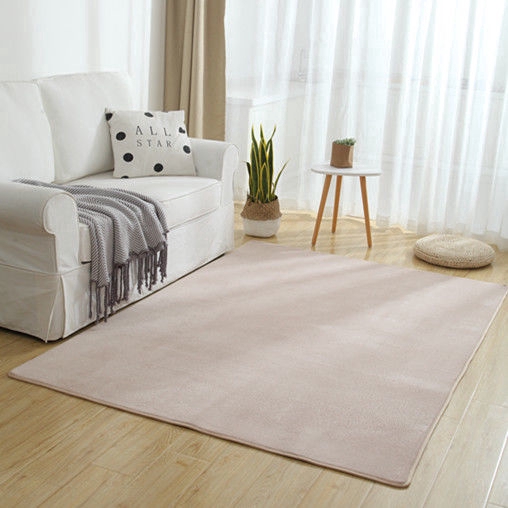 9 Colors Large Size Nordic Coral Velvet Solid Color Carpet Room Bedroom ...