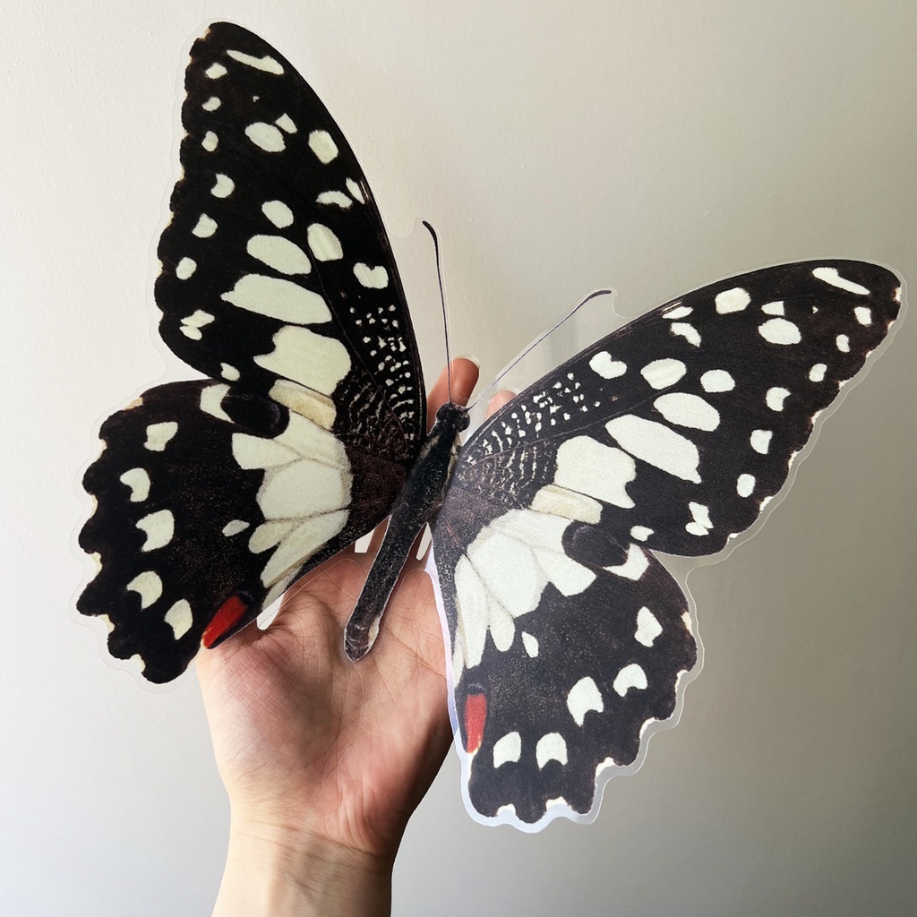 27cm-25cm Colorful Big Butterfly Wall Stickers Living Room Bedroom ...
