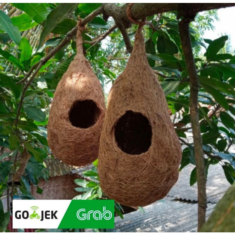 Susuh MANUK bird's nest love bird magpie cage Recommended Seller ...