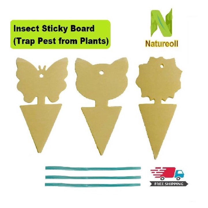 Insect Sticky Trap (Double-Sided Adhesive) Free Shipment by Choosing ...