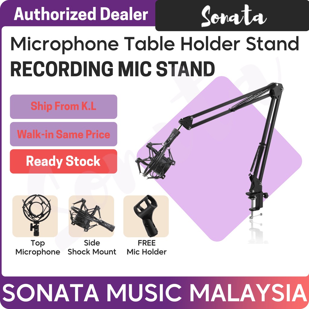 Professional Recording Microphone Stand with Mic Holder and Microphone ...