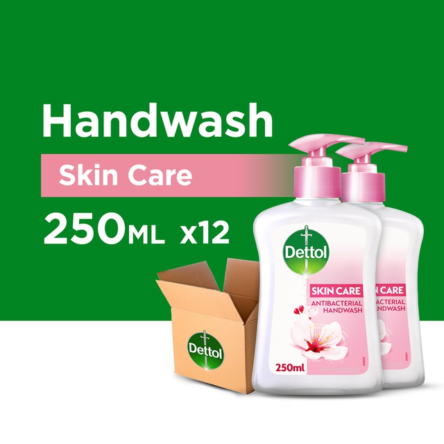 [Carton of 12] Dettol Liquid Handwash Skincare 250ML (Kills 99.9 ...