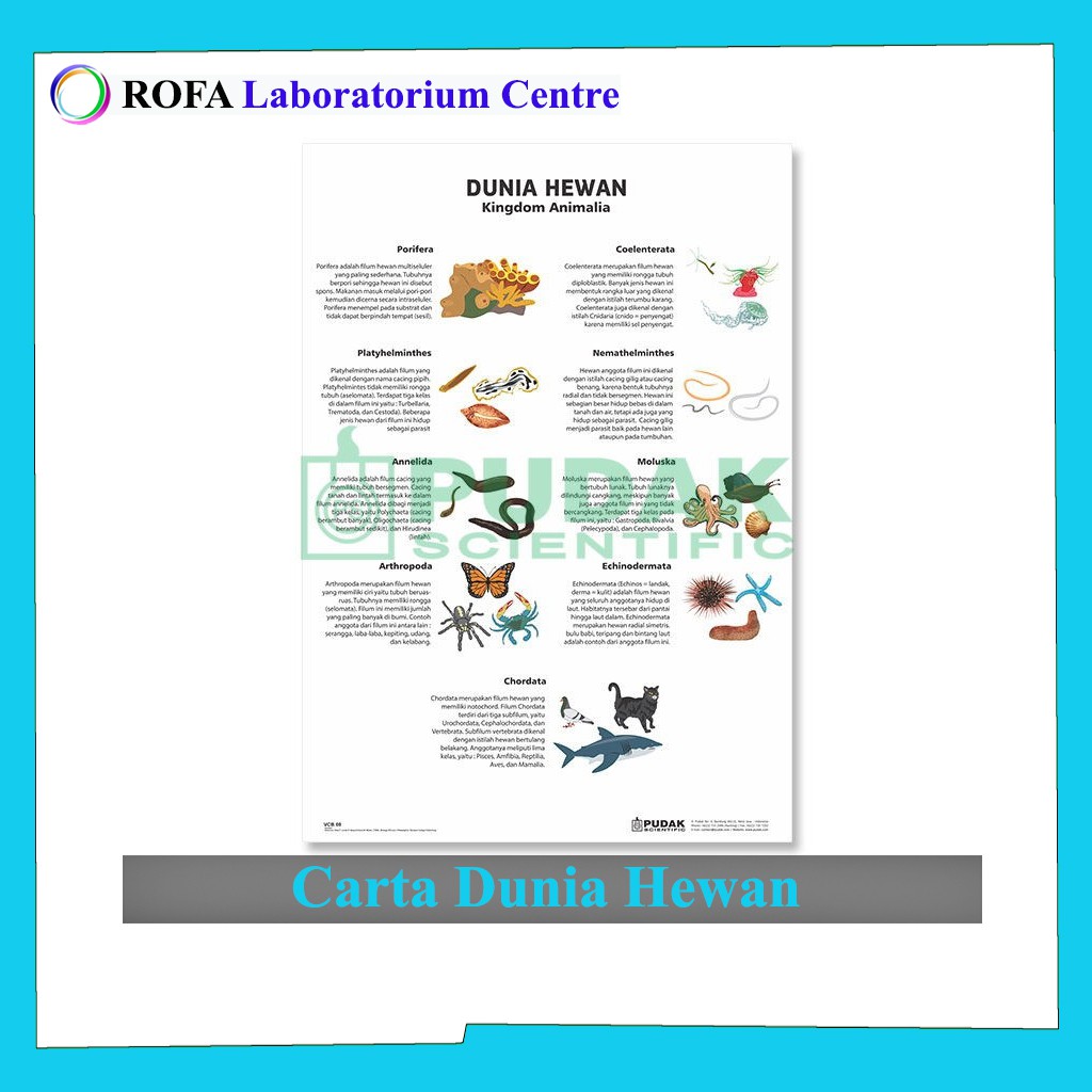 Animal World Chart / Biology Chart / Science Chart | Shopee Singapore