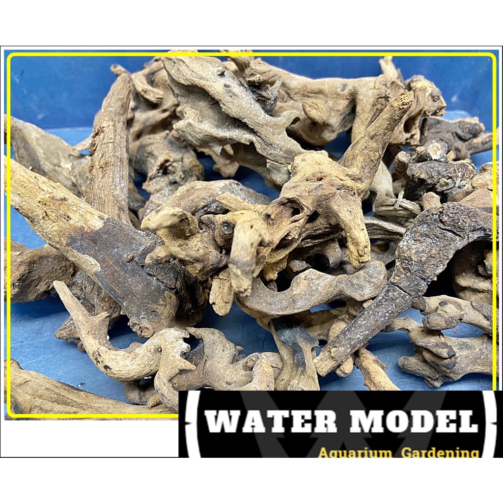 Water Model Aquascaping Sinking Wood Purple Teak Alien Shape ...