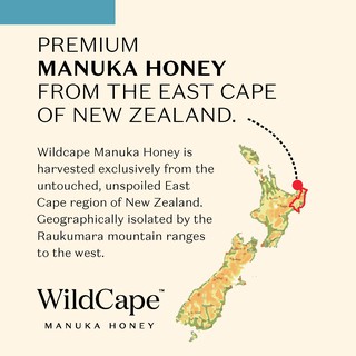 WildCape Multifloral Honey 500g / 1kg | Shopee Singapore