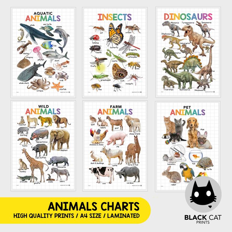 Animals Educational Chart Poster (High Quality Print / A4 Size ...