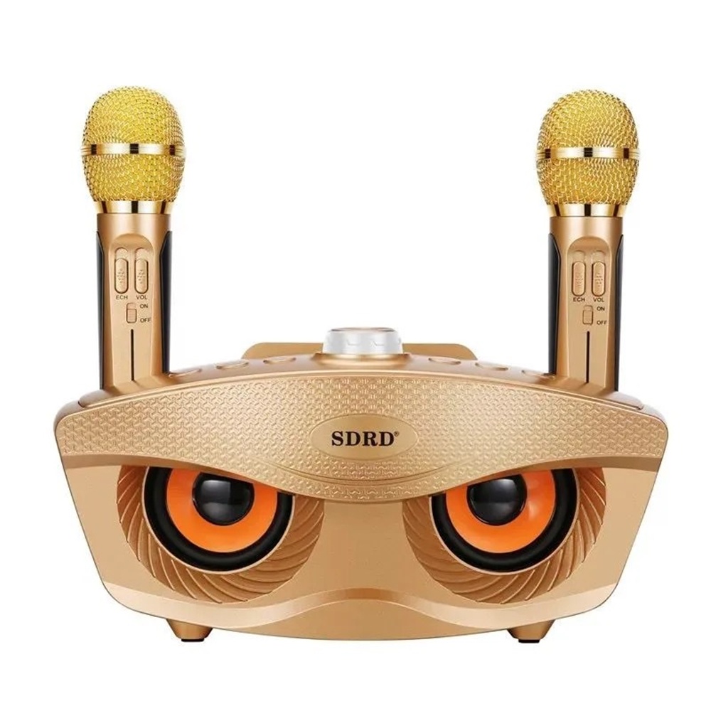 Karaoke Set- Dual Wireless Microphone - SD309 SD306 SDRD 309 306 | Shopee Singapore