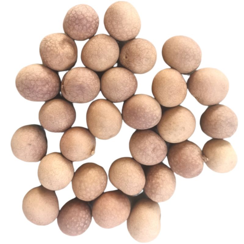 Aa DRIED LONGAN WITH SEED Specially Selected DRIED LONGAN WITH Shell ...