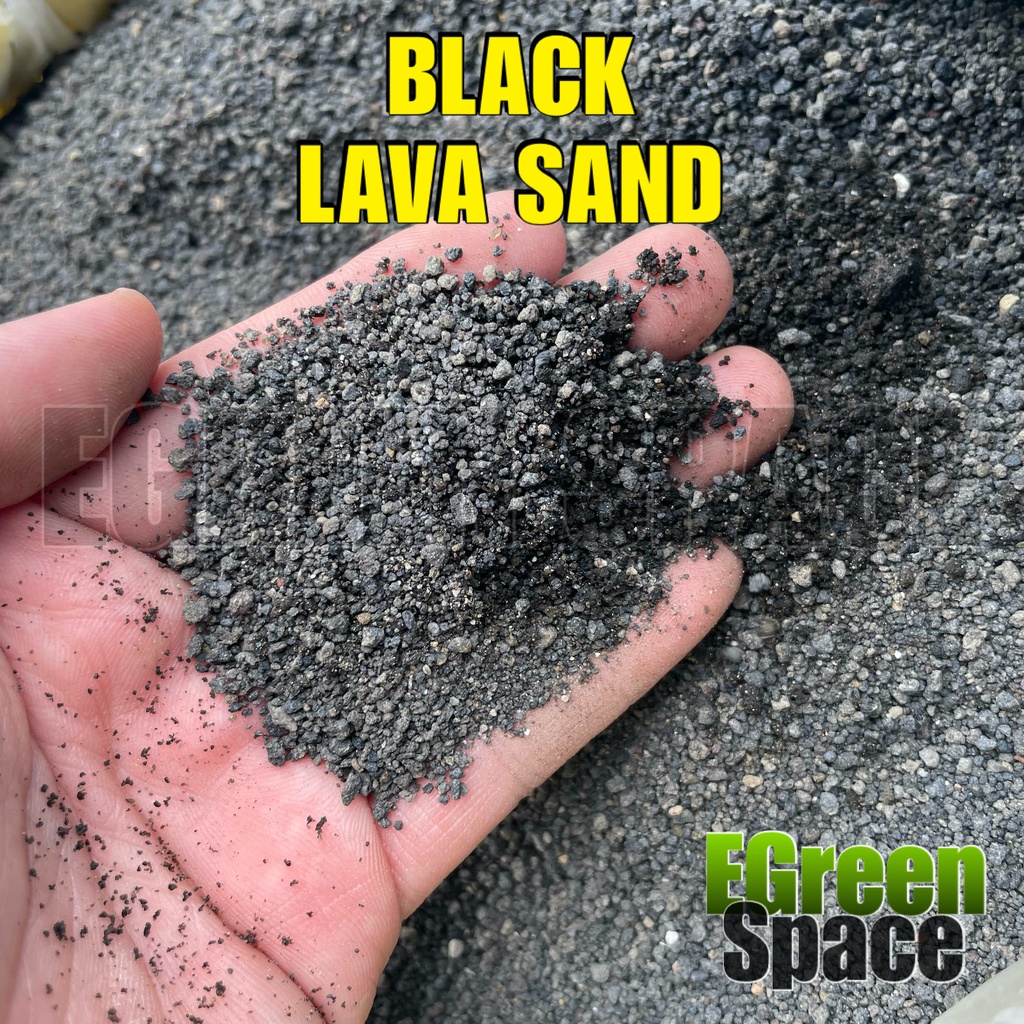 Black Lava Sand - 1kilo (Aquarium, Bedding, Substrate, Litter Box ...