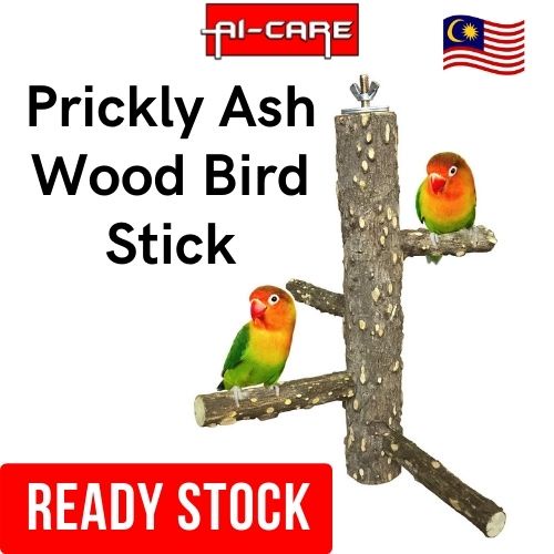 Natural Prickly Ash Wooden Bird Standing Pole With Lumpy Surface Parrot ...
