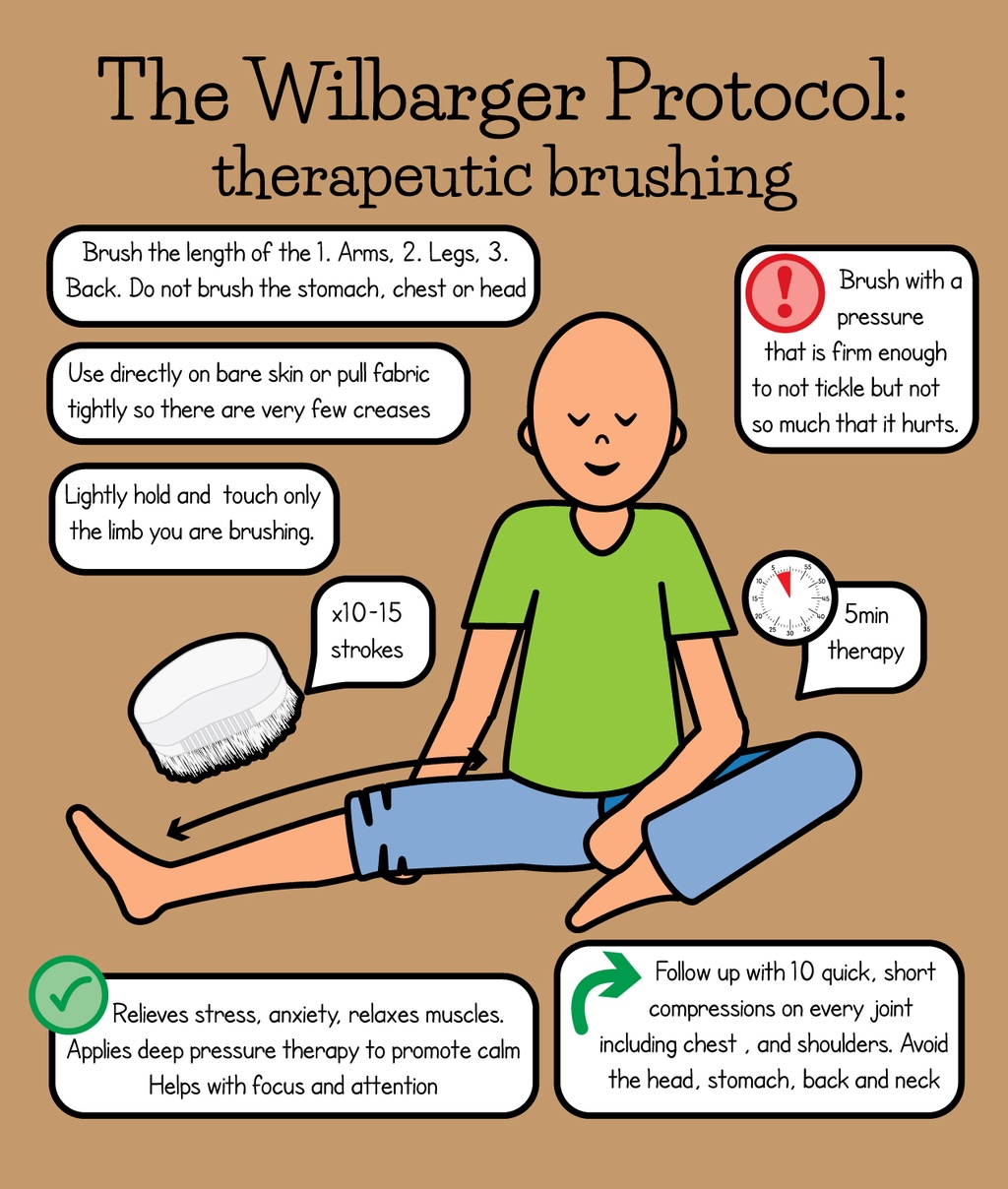 Wilbarger Therapressure Sensory Brush ADHD Autism SPD Berus Terapi ADHD ...