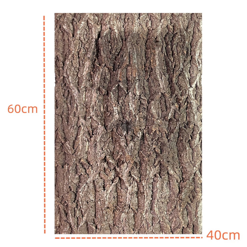 Real Bark Cork Bark Champagne Tree Bark Climbing Pet Fish Tank ...