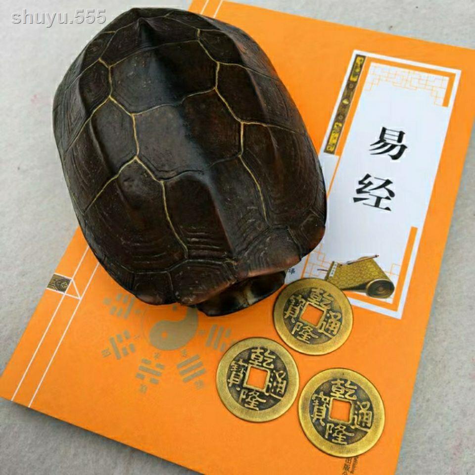 Really Turtle Shell Divination Hexagram Shaking Hexagram Six-Line Tool ...