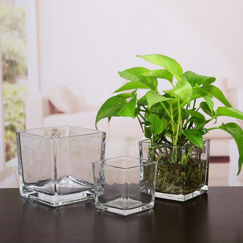 Simple Hydroponic Flowerpot Square Glass Vase Transparent Scindapsus ...
