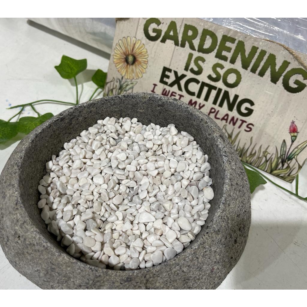 Pebble Pebbles Milky White Size: 4 to 8mm 9kg For Aquarium, Terrarium ...