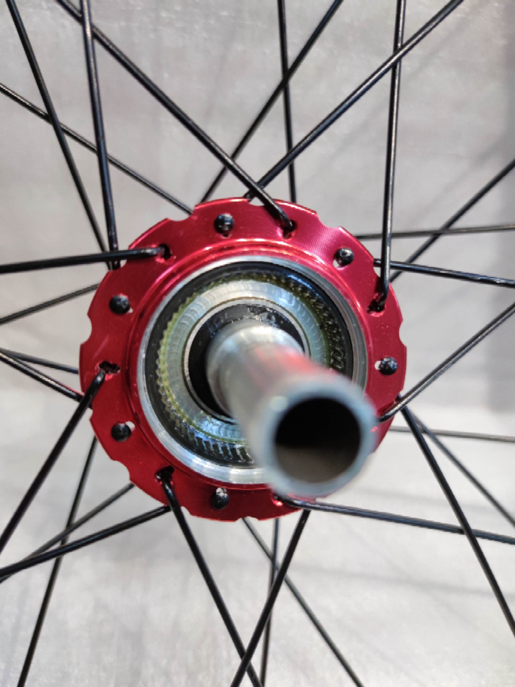 Prolite Wheelset for 20 inch (451) Folding Bike 6 bolt Disc Support 8 ...