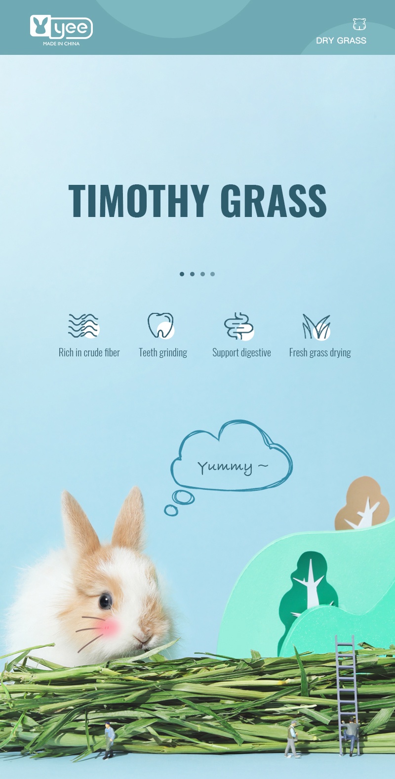YEE Timothy Hay, Dry Grass For Bunny, Chinchilla, Guinea Pig, Rabbit ...
