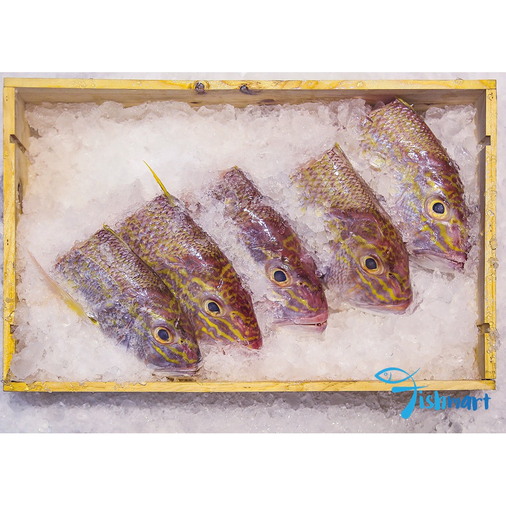 Fresh Ang Go Li Head (1.4 to 1.6kg) | Shopee Singapore