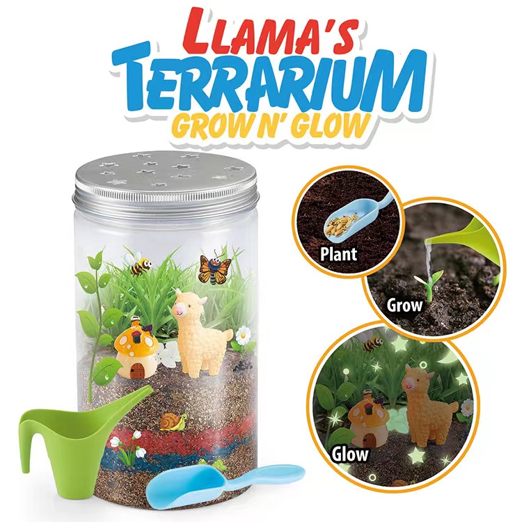 SG Seller| Terrarium Kit for STEM Activities Science Craft Kits ...