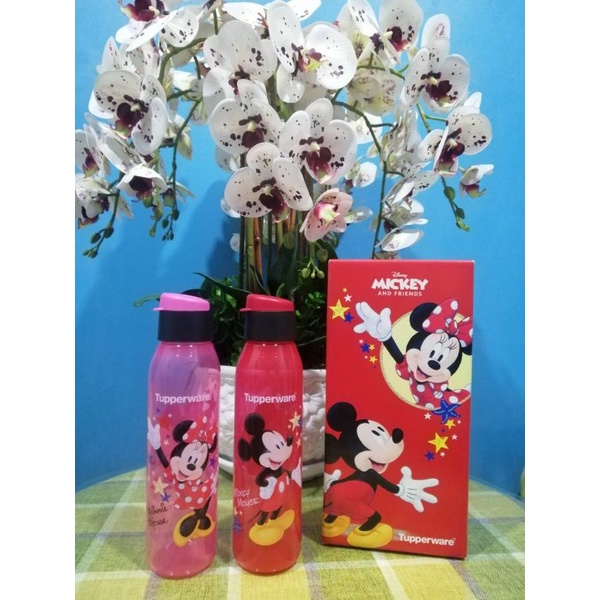 Tupperware!!! Minnie&Mickey Eco Bottle/Botol Air 1Set (500ml) | Shopee ...