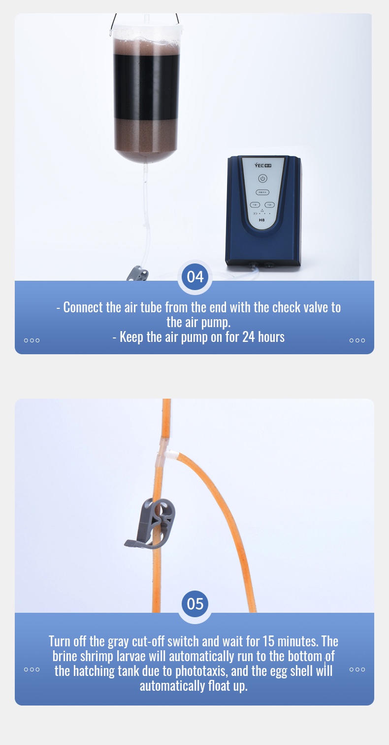 YEE Brine Shrimp Hatching Kit, Professional Incubator, Full Set ...