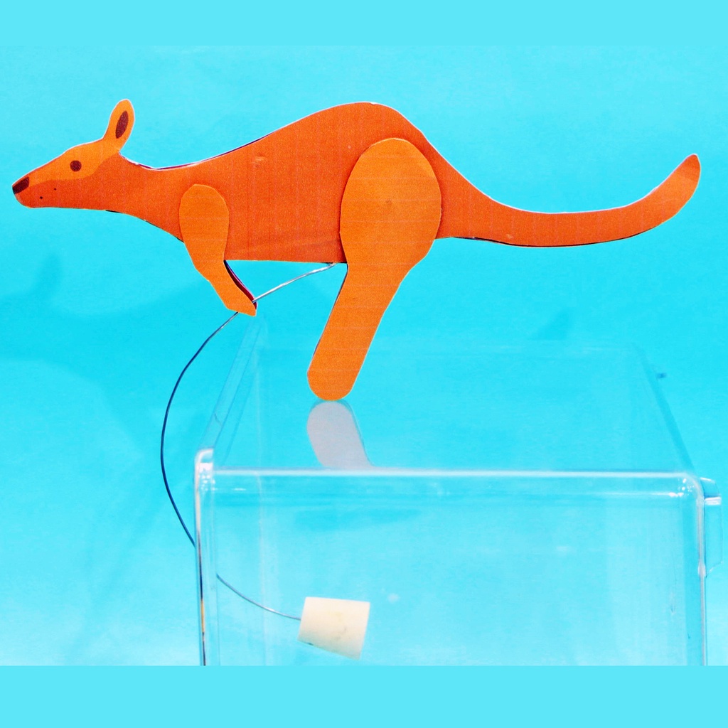 Great World Physical Store Kangaroo Jumping Textbook Teaching Aids Hand ...