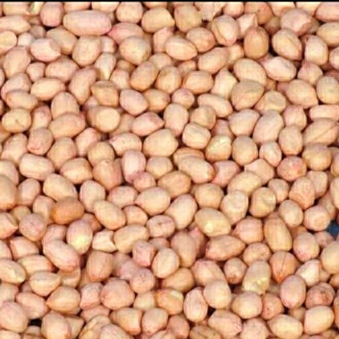 Peanuts 1kg | Shopee Singapore