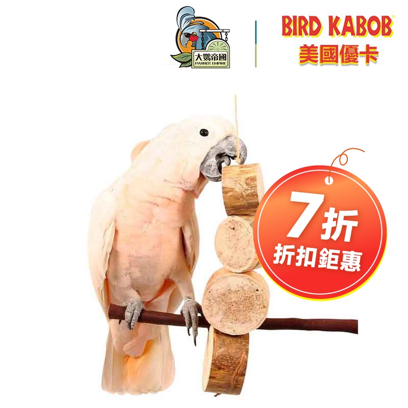 [Big Parrot Empire] American Yoka Bird Kabob/Big Full Blessing/Parrot ...