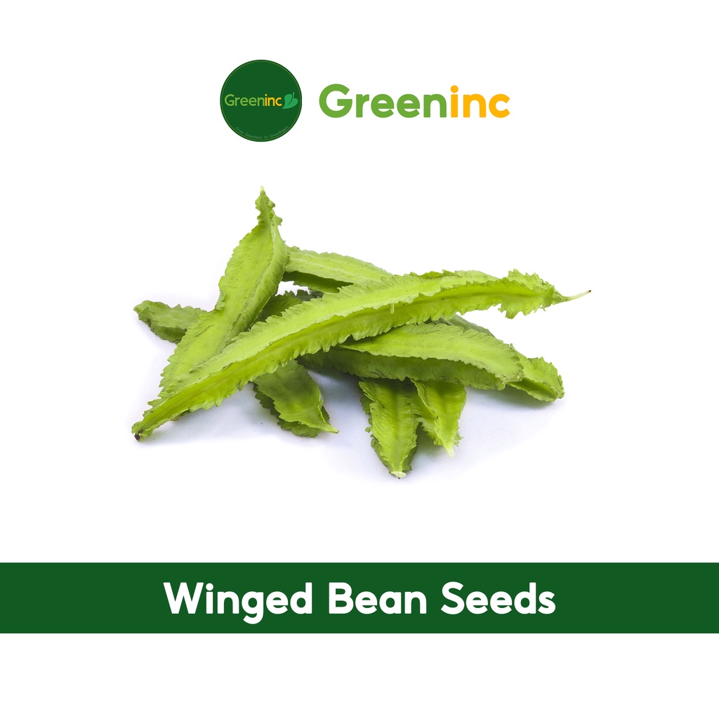 Winged Bean Seeds (翼豆) Vegetable Seeds from SG | Shopee Singapore
