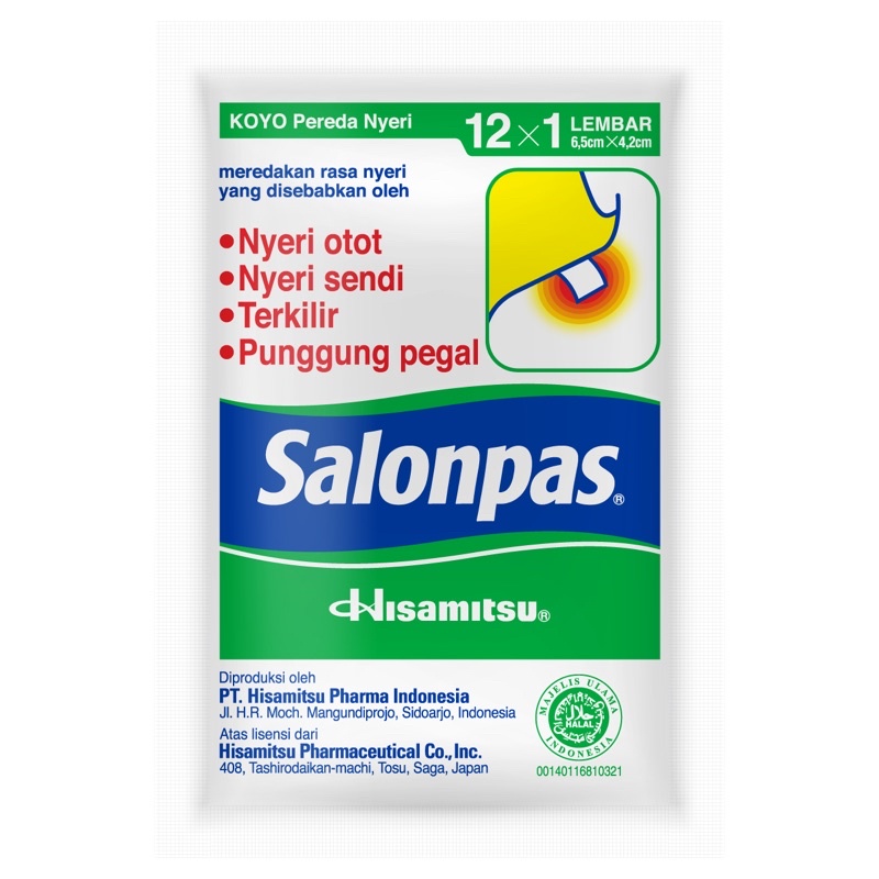 Salonpas Pain Relieving Patch (6.5 X 4.2Cm) 60 Pieces (5 Packages x 12 ...