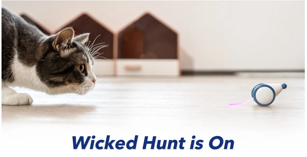 Cheerble Wicked Mouse, Interactive Cat Chaser Toy | Shopee Singapore