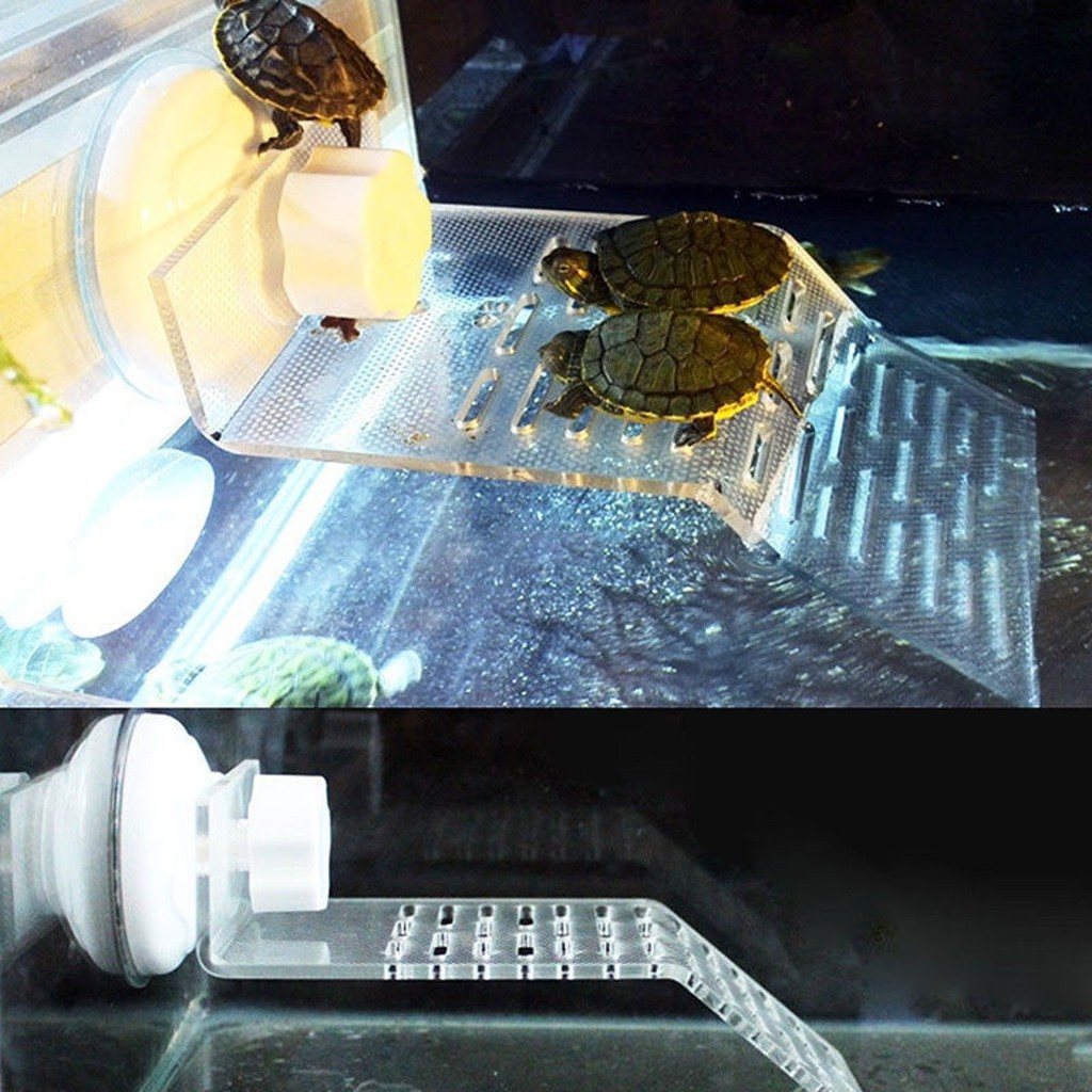 Aquarium Turtle Basking Island Fish Tortoise Tank Floating Platform Bed ...