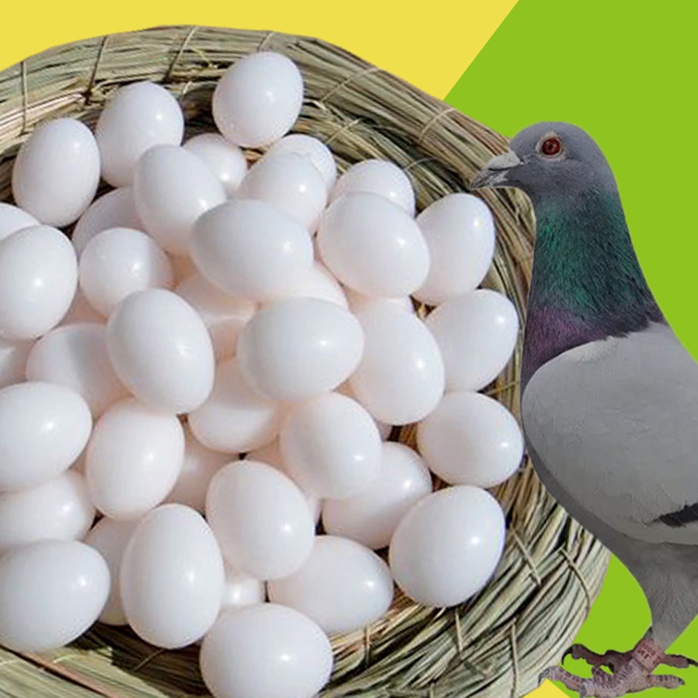 1 pc/5 pcs Fake Egg Dummy Egg for Pigeon Plastic solid eggs Simulation ...
