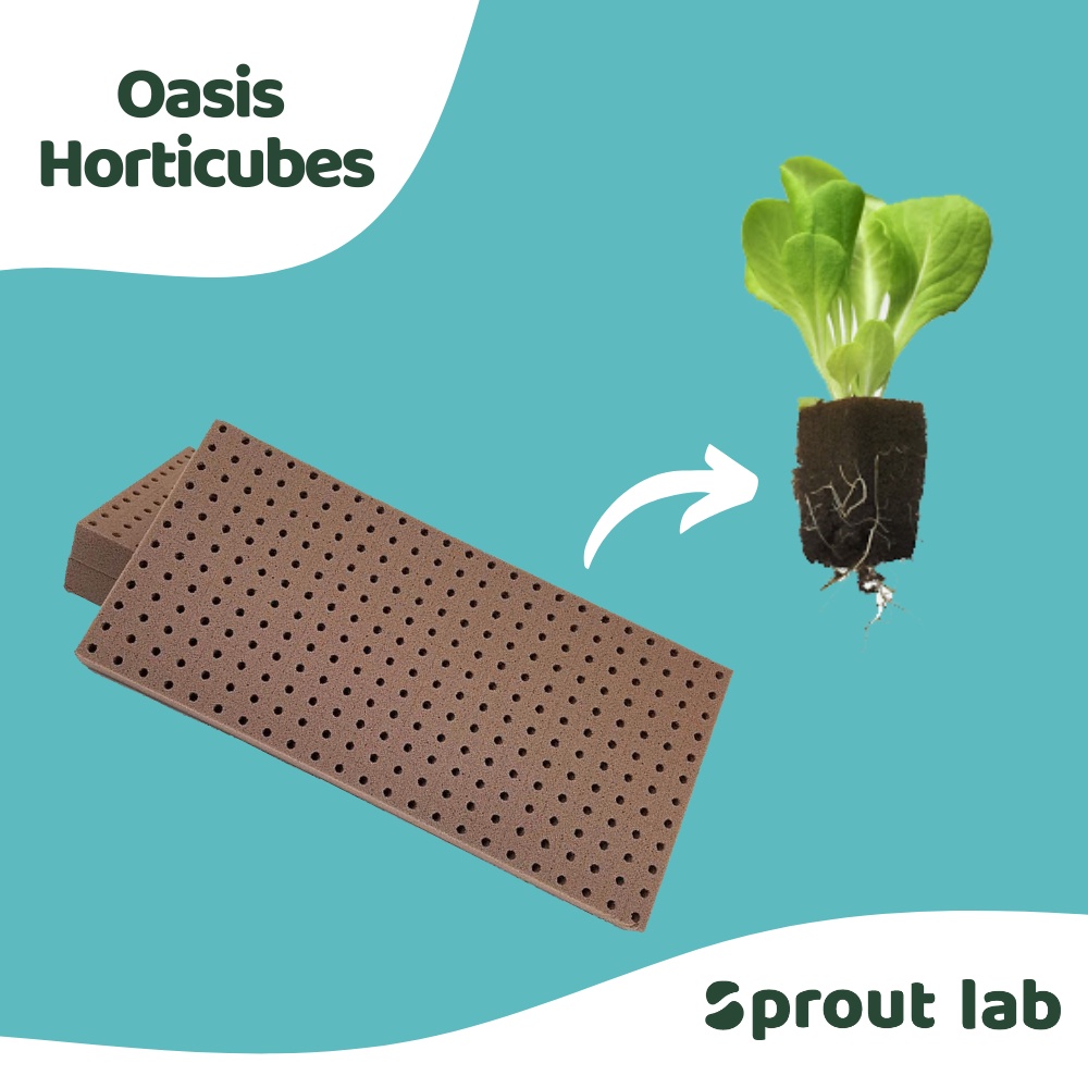 Sprout Lab | OASIS Horticubes Biodegradable Seedling Starter | Carton ...