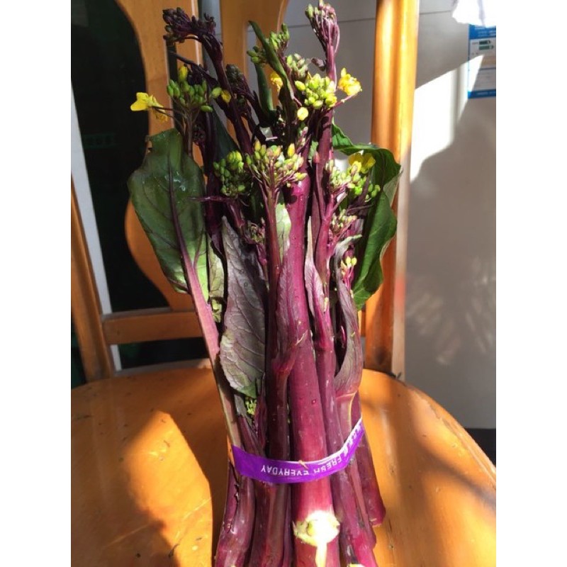 12. Choy Sum Purple Seeds 400pcs(OLP)in SG | Shopee Singapore
