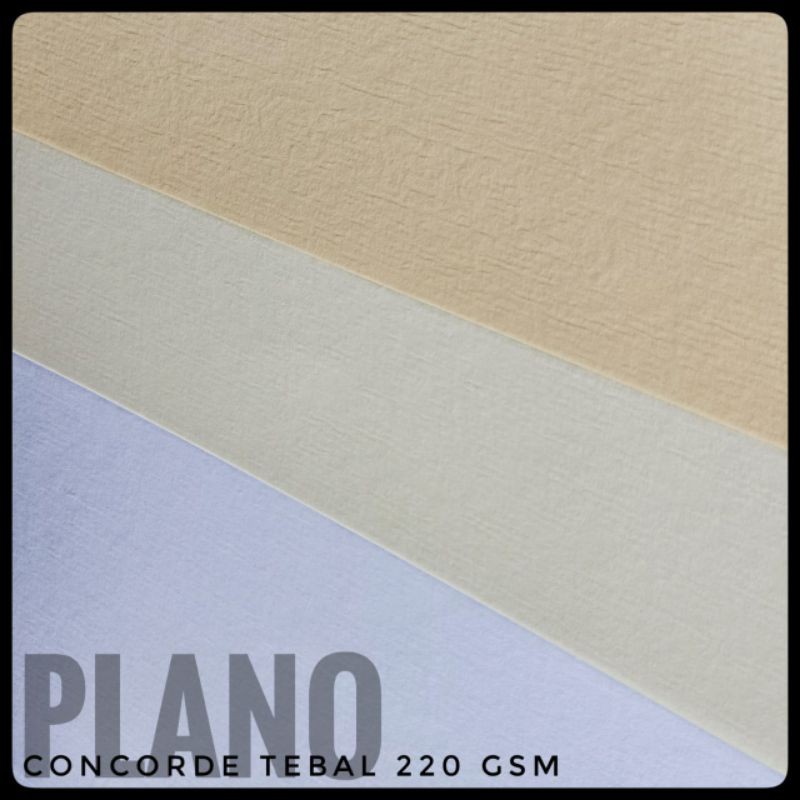 Concorde PAPER THICK 220 GR UK PLANO 79 CM X 109 CM (CONTAINS 5 SHEETS ...