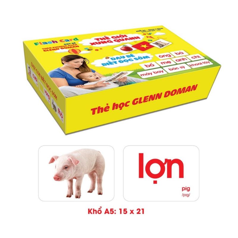 Flash CARDGlenn Doman A5 learning card set - 17x21cm teaches children ...