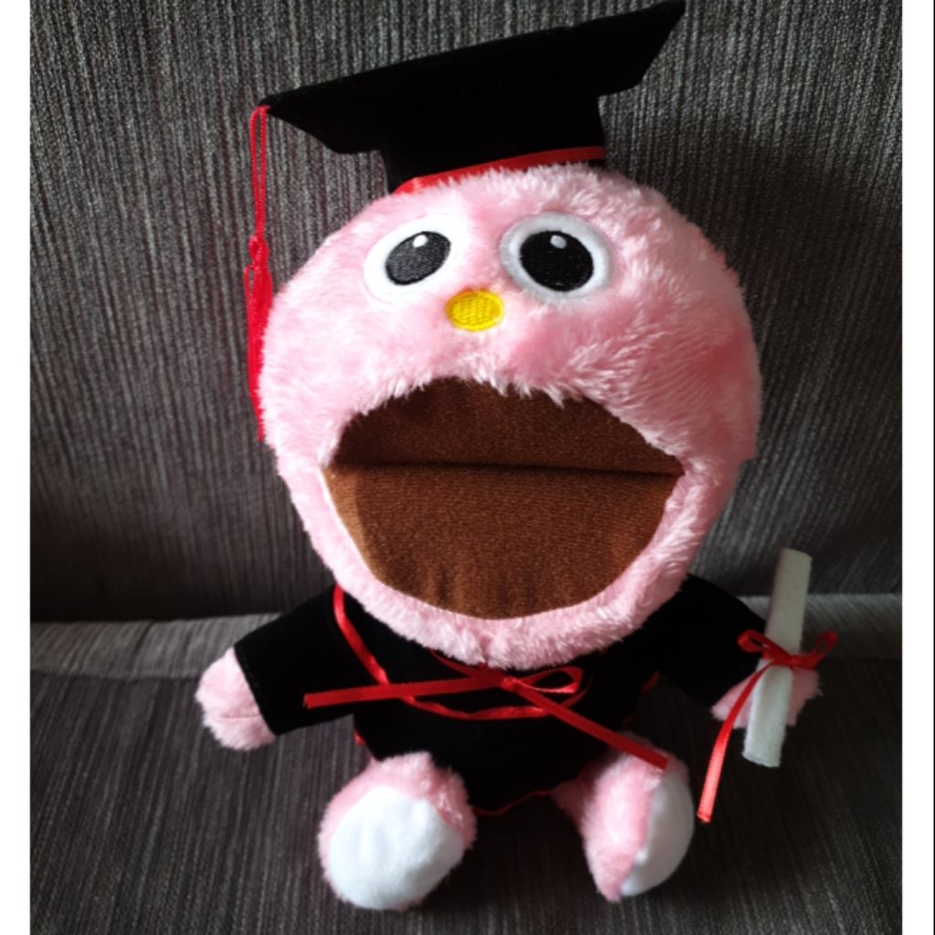 BN 25cm Medium large sesame Street pink cookie monster elmo graduation ...