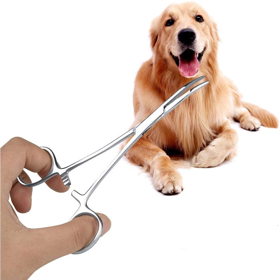 Hemostat Forceps, Stainless Steel Pet Dog Grooming Ear Cleaning ...