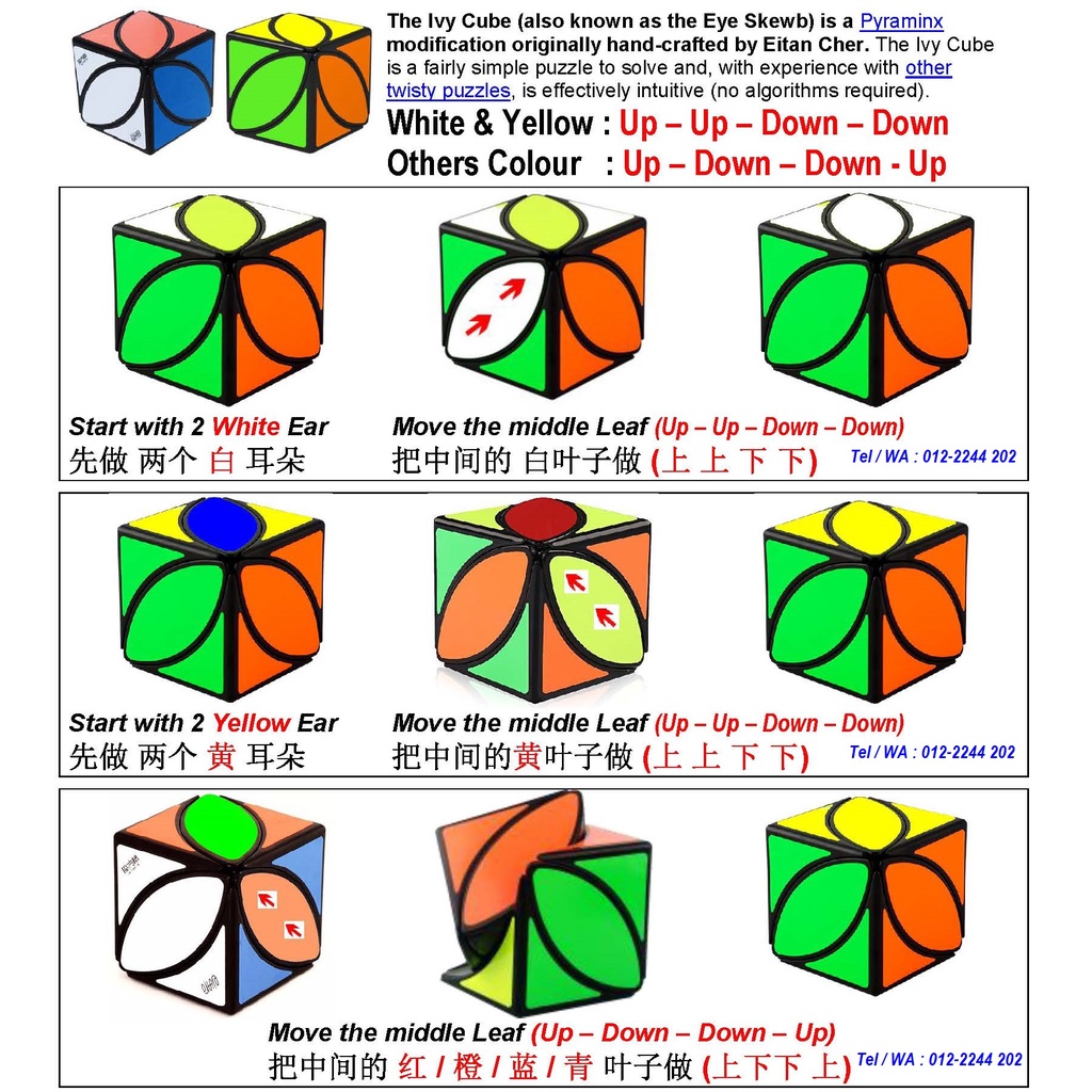 How to solve a ivy cube store