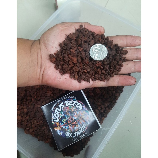 1kg LAVA ROCKS/ LAVA BITS 5 aquarium Filter media, aquarium substrate ...